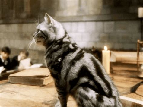Cuộc chạm trán gay cấn của Harry Potter và tên tù nhân ngục Azkaban