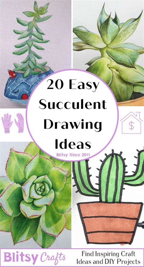20 Easy Succulent Drawing Ideas Draw A Succulent