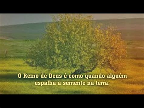O Reino De Deus Como Quando Algu M Espalha A Semente Na Terra Youtube