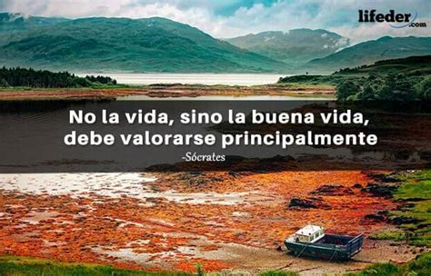 100 Frases de Valores Humanos para Niños y Adultos Lifeder