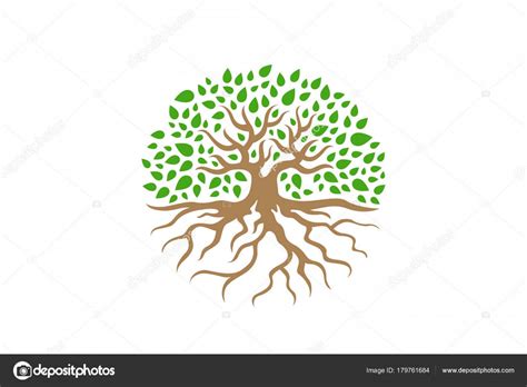 Roots Vector Free At Vectorified Collection Of Roots Vector Free