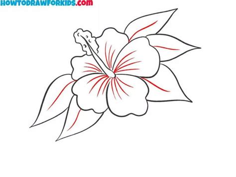 Easy Hibiscus Drawing Ideas Draw A Hibiscus