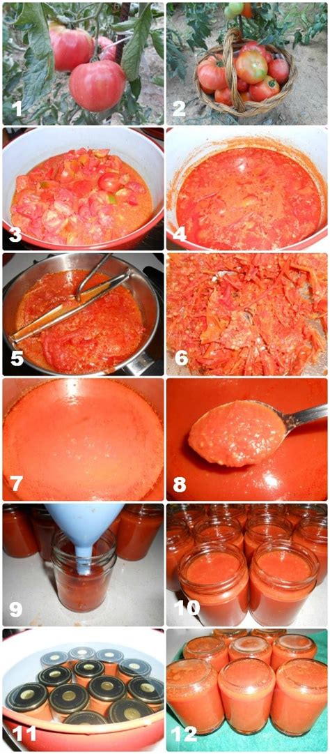 Cómo hacer conserva de tomate frito casero La Cocina Alternativa