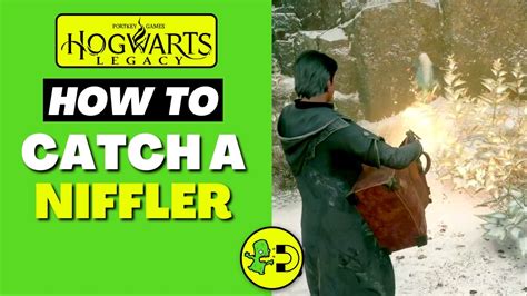 Hogwarts Legacy How To Catch A Niffler YouTube
