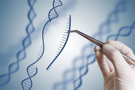 New Test For Gene Edited Crops Will Help Organic And Non GMO Food