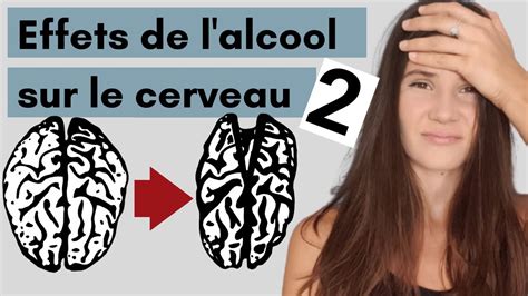 Les Effets De L Alcool Sur Le Cerveau PARTIE 2 YouTube