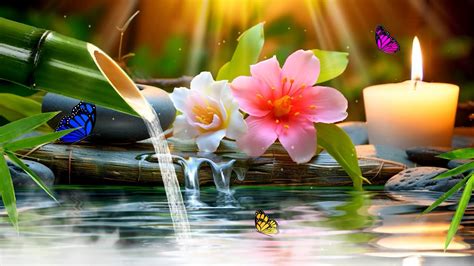 Relaxing Music Relieves Stress Anxiety And Depression Bamboo Water