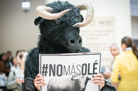 Estocada a las corridas de toros en Colombia Congreso aprobó en cuarto