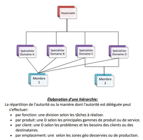 Guide Comprendre Les Bases Du Management D Organisation