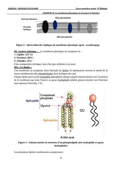 SOLUTION Biologie Cellulaire Chapitre3 La Membrane Plasmique Structure