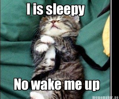 25 Best Sleepy Memes SayingImages Sleep Funny Funny Cat Memes