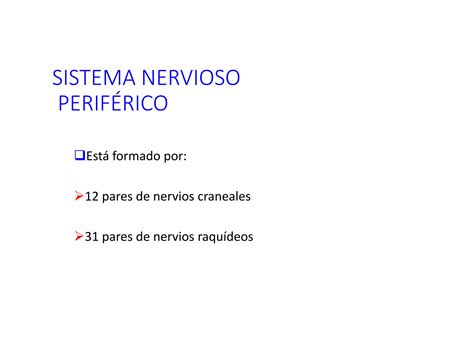 11Sistema Nervioso Perif Rico Ppt