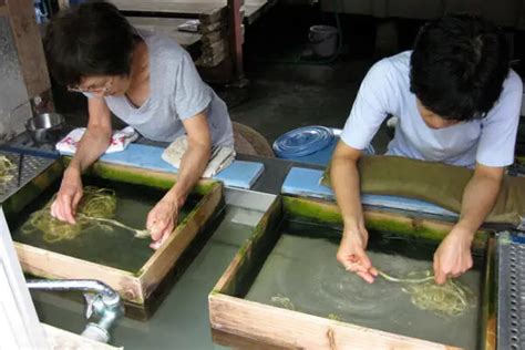 Le Washi Papier Japonais Traditionnel Qui Résiste À L épreuve Du