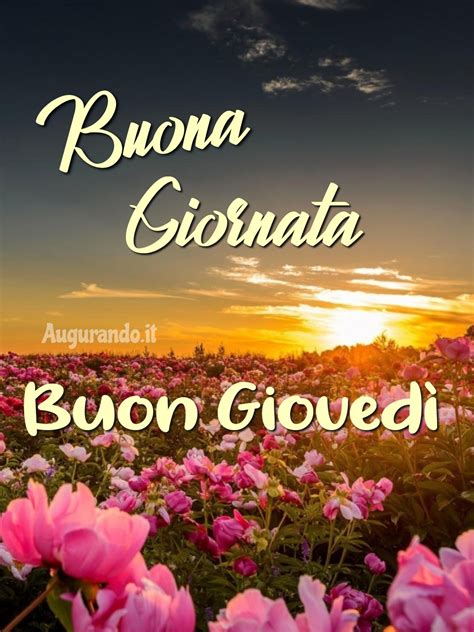 Buon Giovedì con fantastiche immagini entra