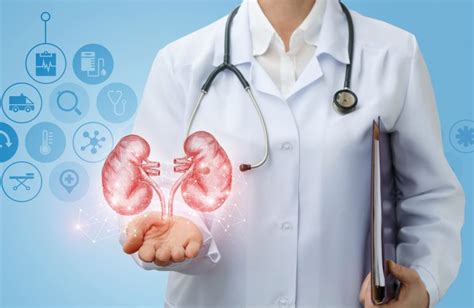 Médico urologista Profissões InfoEscola