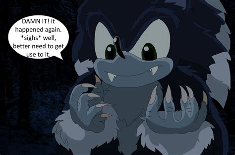 Sonic The Werehog Transformation Pt 4 Final Part By Johnv2004 On Deviantart