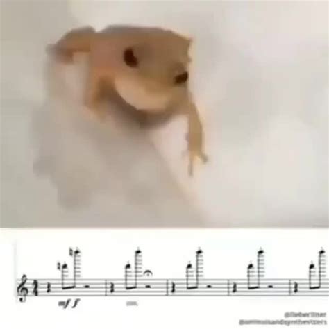 Sapo Meme Subido Por Copenhaguenlink Memedroid