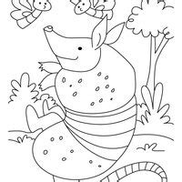 Desenho De Tatu Feliz Para Colorir Tudodesenhos