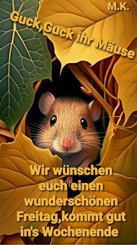 Pin von Brigitte Kahlert auf Grüße Wochentage Freitag guten morgen