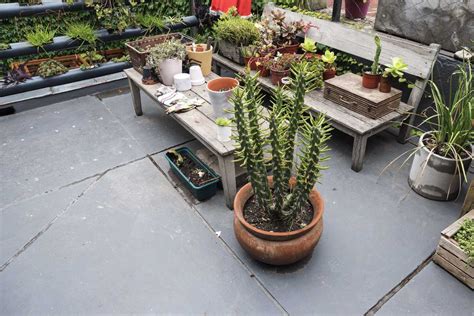 Que Mettre Dans Des Grands Pots Sur Une Terrasse Top Plantes