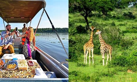 Activities In Murchison Falls National Park Uganda Safaris