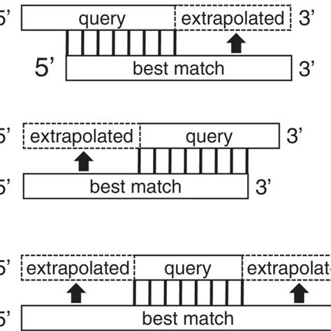 pseudocode description of the seqstrap algorithm sequence alignments download scientific