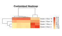 Draw Heatmap With Clusters Using Pheatmap In R GeeksforGeeks