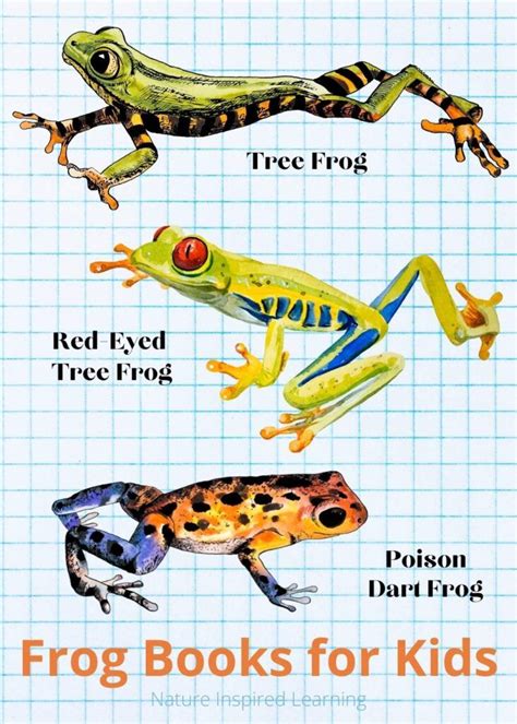 Types Of Frogs Chart Tree Frog Red Eyed Tree Frog And Poison Dart Frog