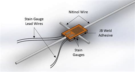 the placement of strain gauges on the nitinol wire for the force sensor download scientific