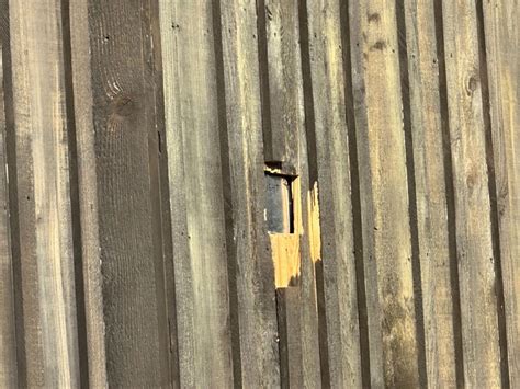 More Holes Cut Into Fa Ade Queue Lights Removed As Splash Mountain Is