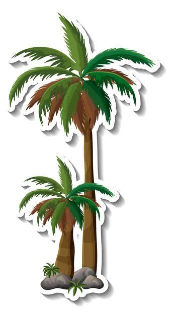 Free Vector Palm Tree Sticker On White Background Palm Tree Sticker