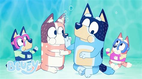 La Piscina Episodio Completo Bluey Canal Oficial En Castellano