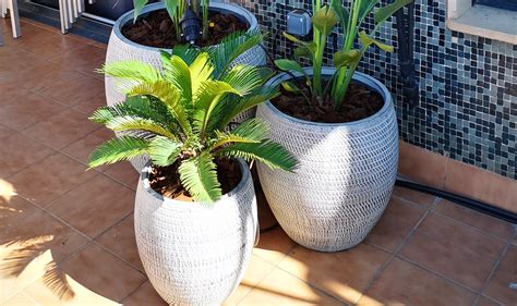 Macetas Y Jardineras Para Plantas De Exterior Magnolia