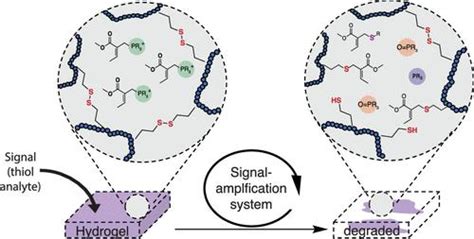 Naked Eye Thiol Analyte Detection Via Self Propagating Amplified