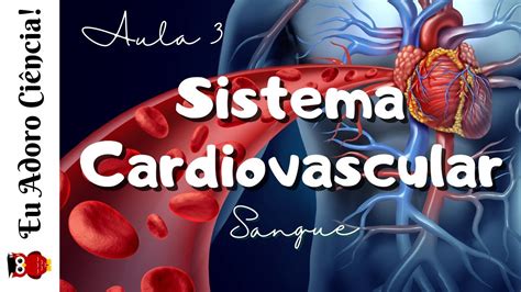 Sistema Cardiovascular Aula Sangue Venoso E Sangue Arterial Youtube