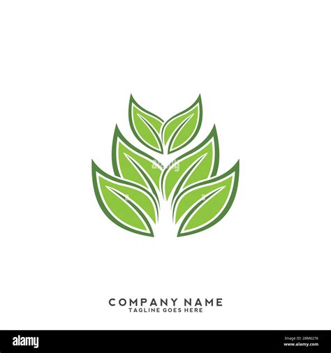 Eco Icon Green Leaf Vector Illustration Isolated Eco Icon Green Leaf