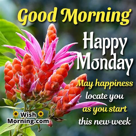Happy Monday Morning Quotes