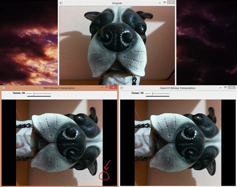 border interpolation discrepancy between opencv s c and c apis