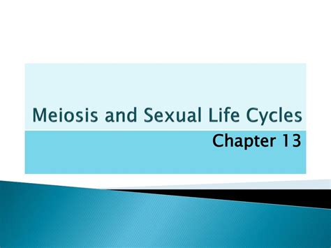 Ppt Meiosis And Sexual Life Cycles Powerpoint Presentation Free Download Id2115620