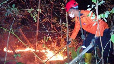 Kebakaran Hutan Dan Lahan Di Trenggalek Hutan 1 Hektar Ludes Terbakar