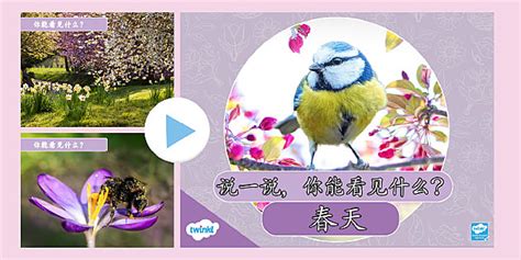 春天图片 你能看见什么幻灯片 teacher made
