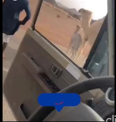 Tráfico en Arabia Saudita Meme subido por Josemomo Memedroid