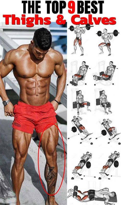 The TOP 9 BEST Thighs Calves