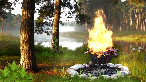 Звуки Природы Звук Костра и Вечернего лесаSounds of Nature Bonfire