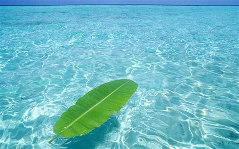 Water Wallpapers HD PixelsTalk Net