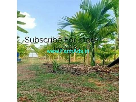4 Acres Agriculture Land For Sale At Shadnagar Shadnagar Rangareddy