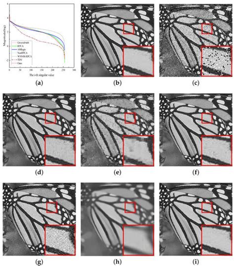 applied sciences free full text an unsupervised image denoising method using a nonconvex low