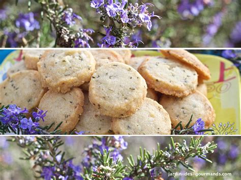 Sablés Parmesan et Romarin Jardin des gourmands