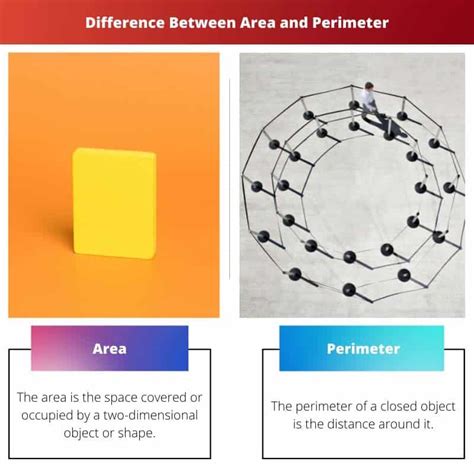 Rea Vs Per Metro Diferencia Y Comparaci N