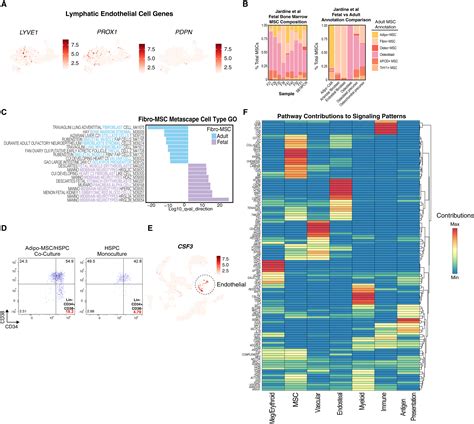 Mapping The Cellular Biogeography Of Human Bone Marrow Niches Using